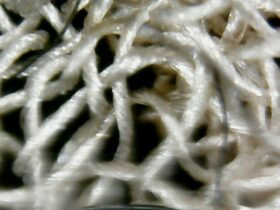 Fibers Under a Microscope | SlowYarn.com